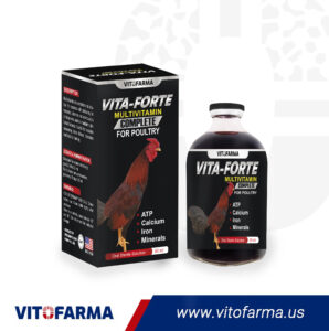 Complete Multivitamin for Roosters - Vita Forte » Vitofarma US